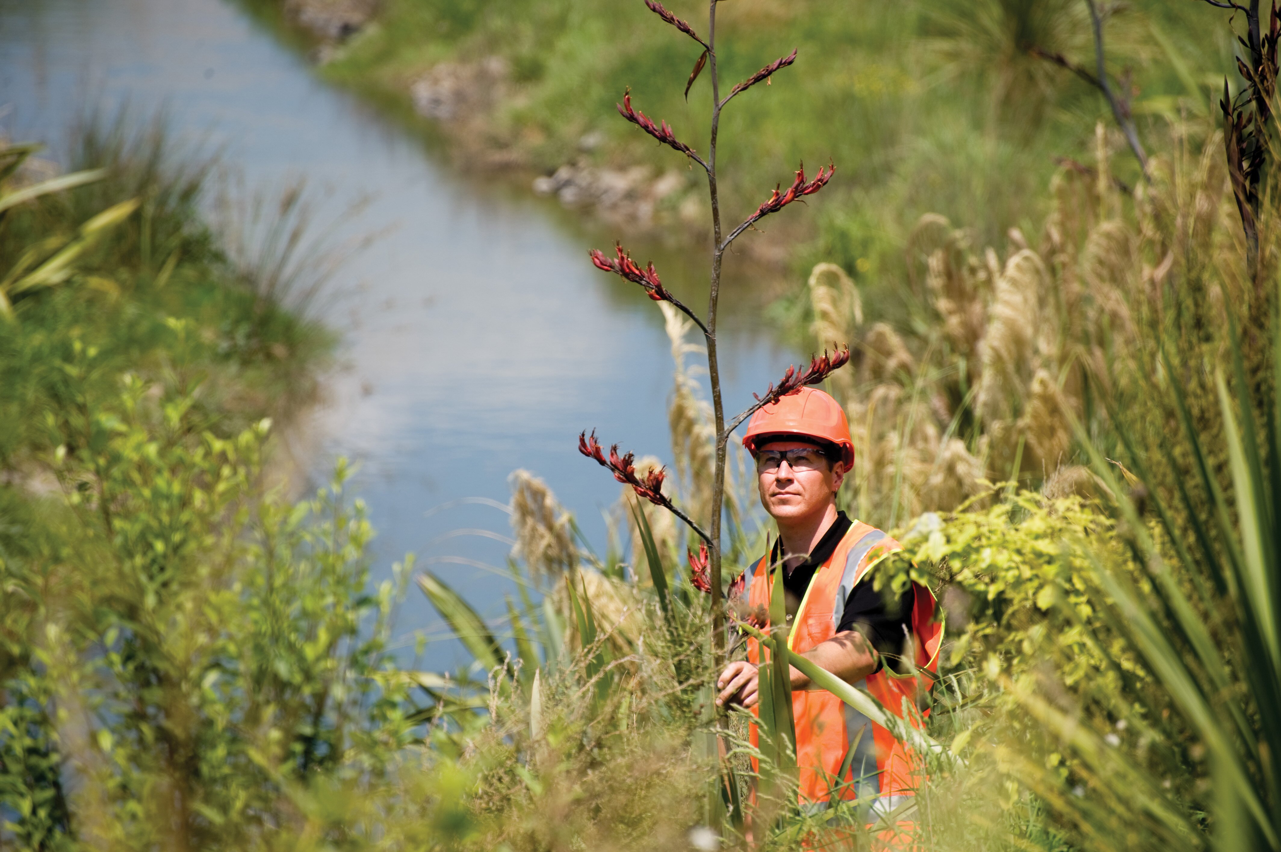 Solid Energy New Zealand Image Library